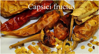 Simplisia Fructus | Farmakognosi Tanaman Obat Tradisional