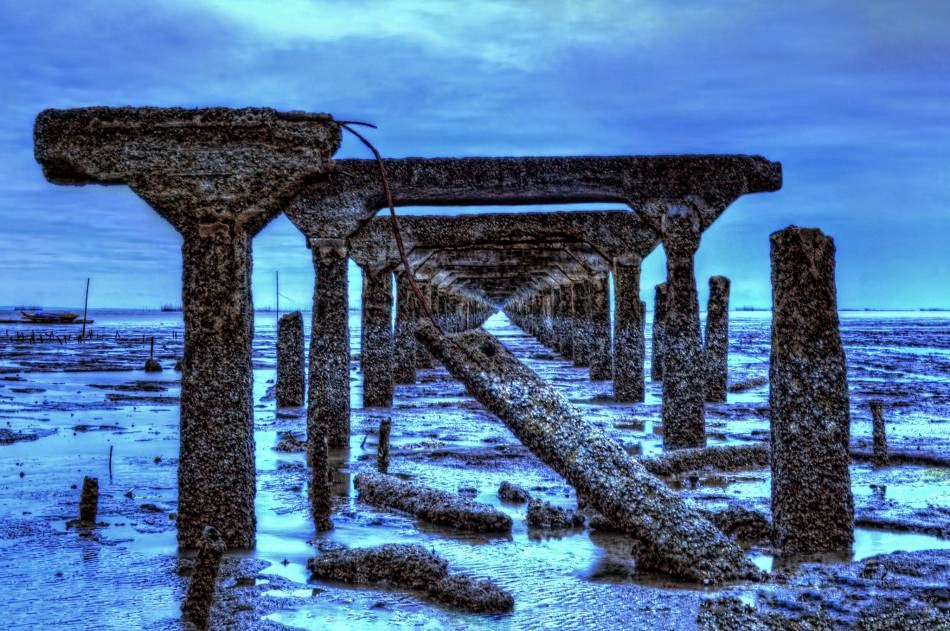 Una selección de buenas fotografías. - Las Mejores Fotografías del Mundo