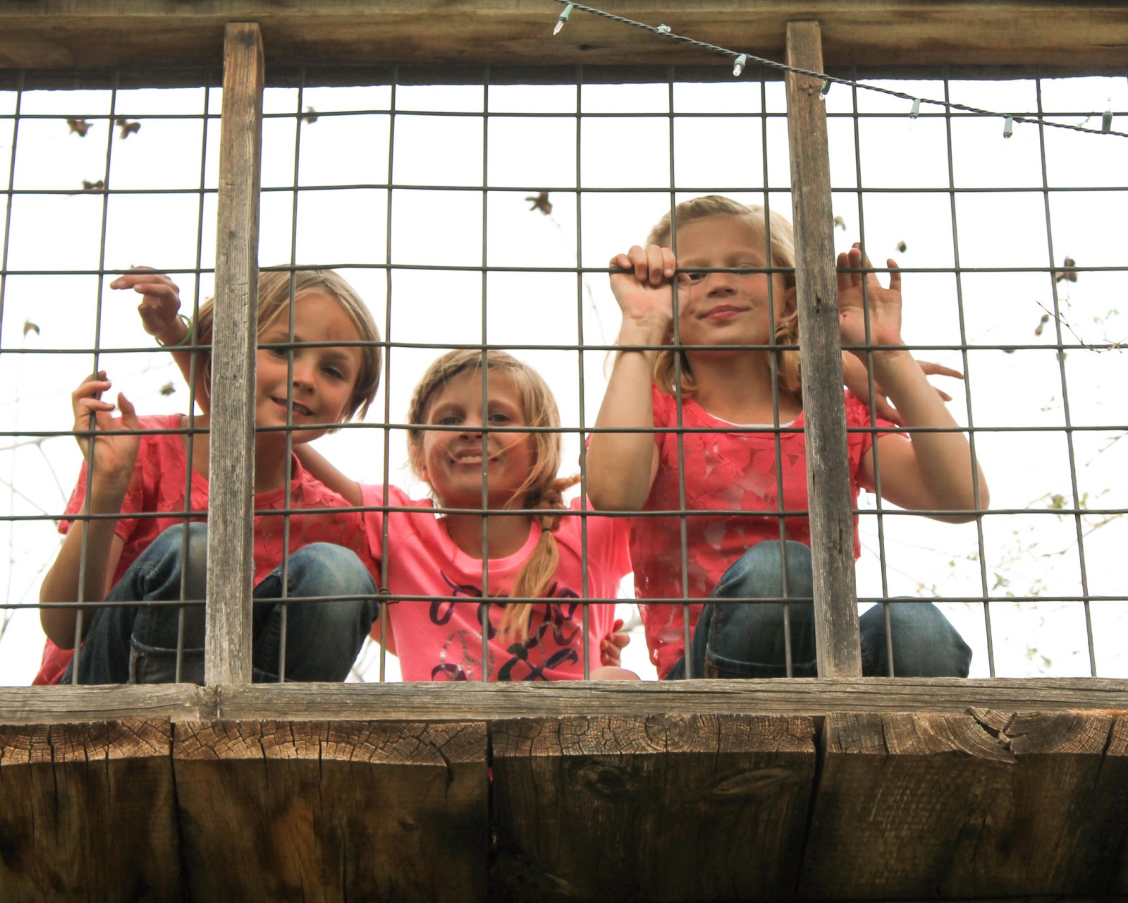 The Merrill Six: Celebrating in Thatcher