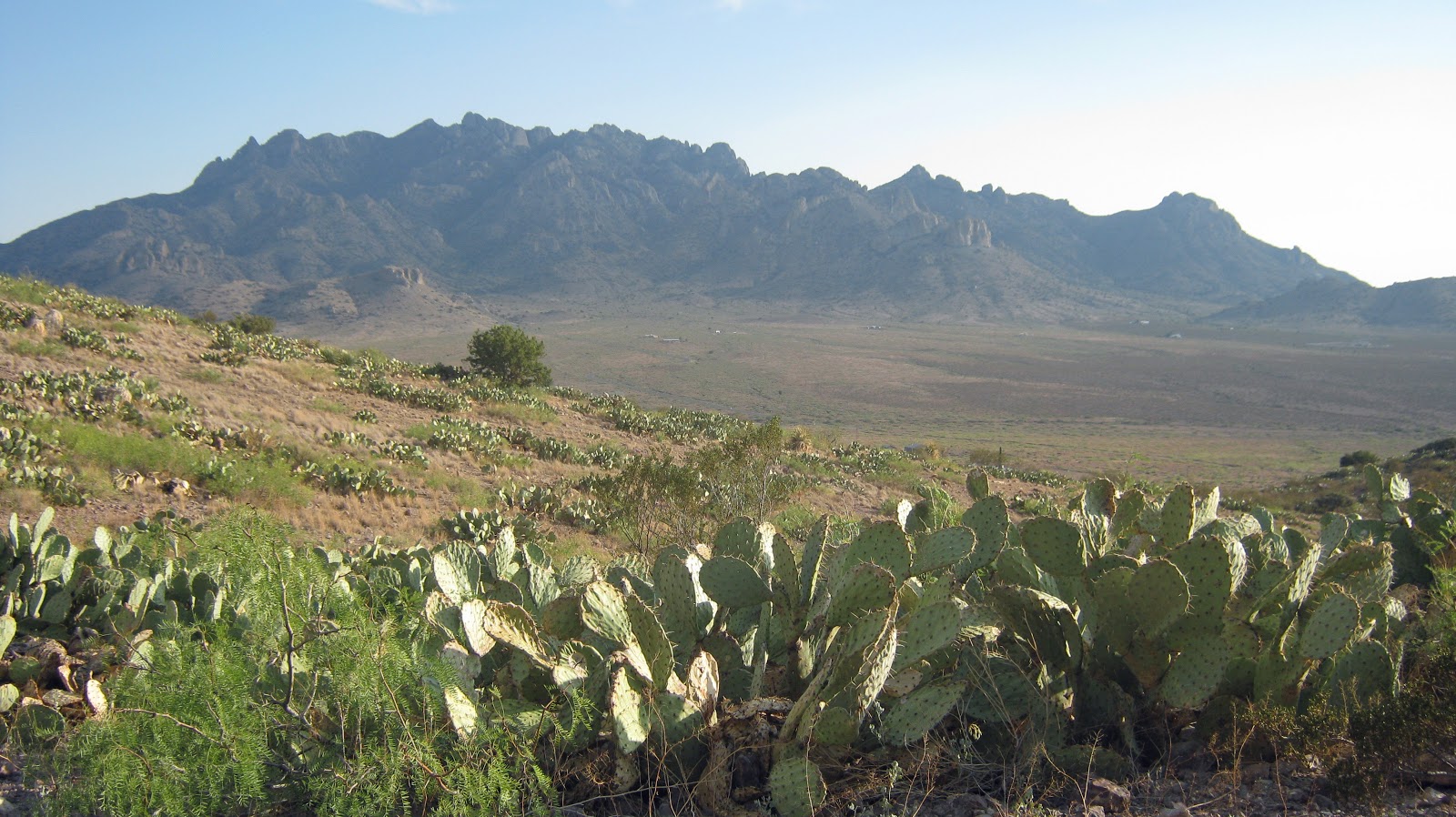 The Continuing Adventures of Eric, Noelle and Sierra: Florida Mountains