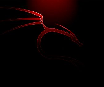 BACKTRACK wielding FU: How to install Backtrack (dual boot)