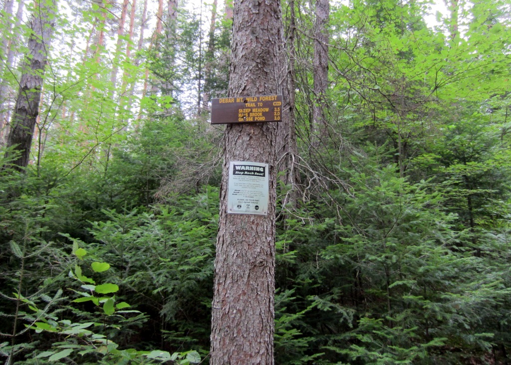 Windswept Adventure: Chapter 1 - Hike To Grasse Pond, Debar Mountain ...