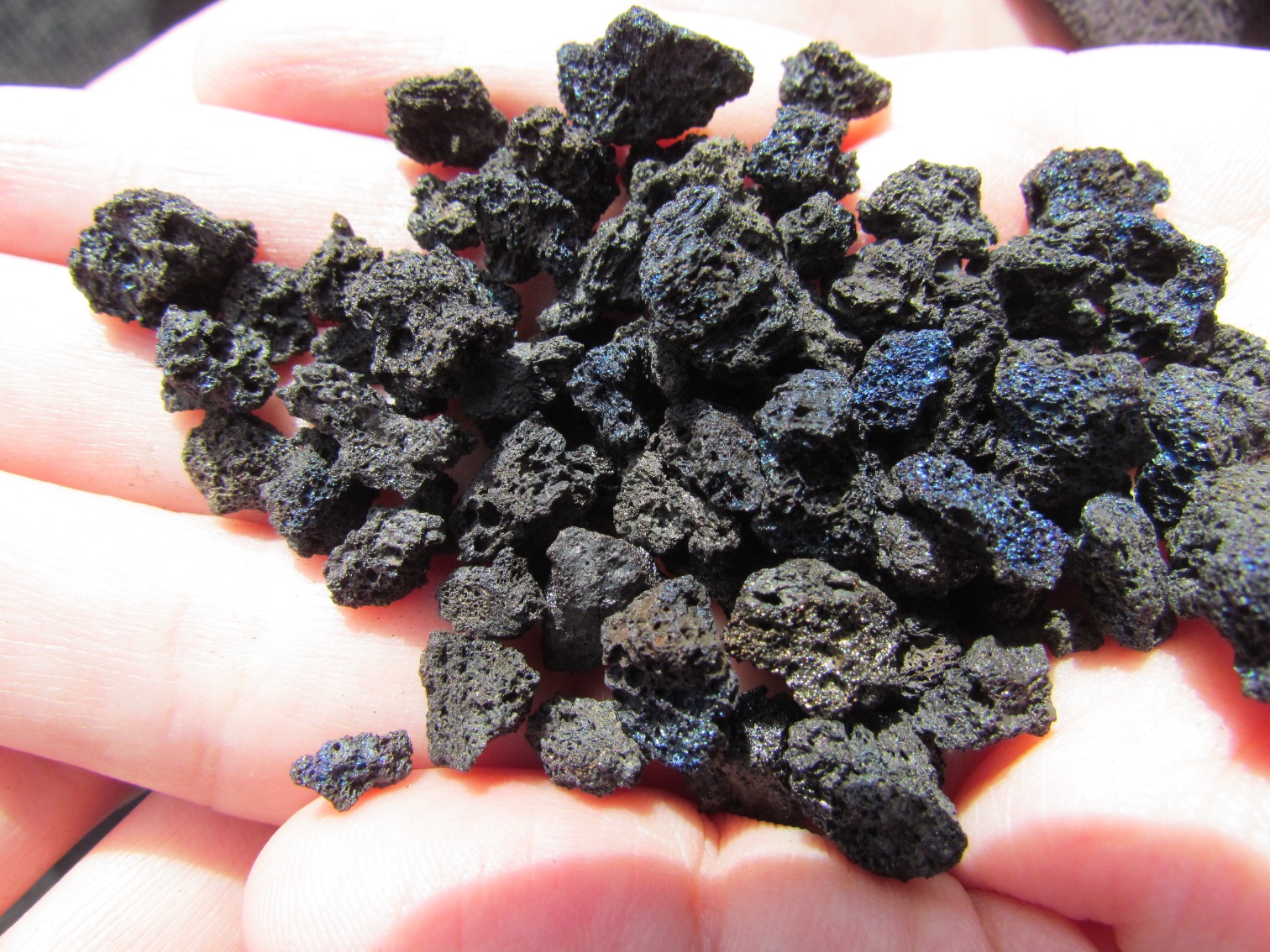 The Tortoise and the Finch: Heimaey Means “Home Island”