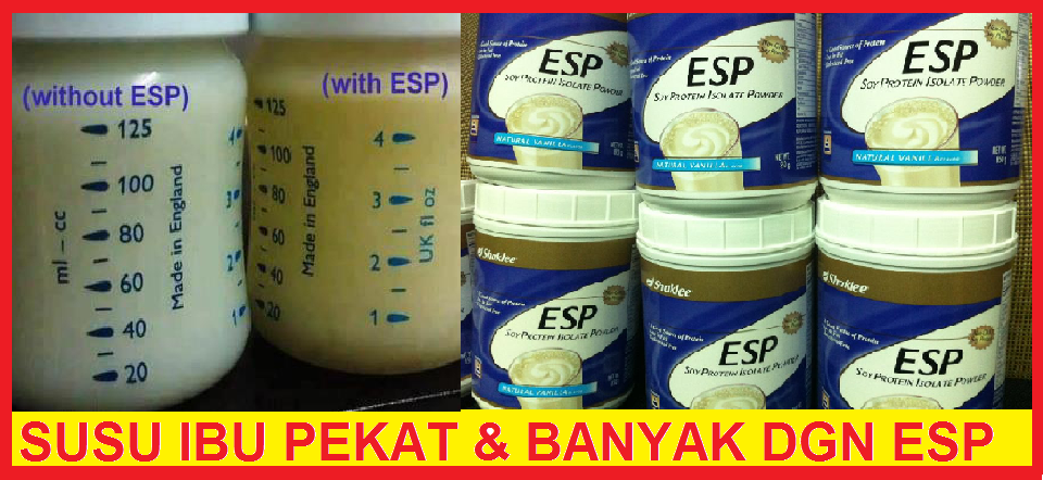 SUSU IBU PEKAT & BANYAK DENGAN ESP SHAKLEE | Mamasaufee