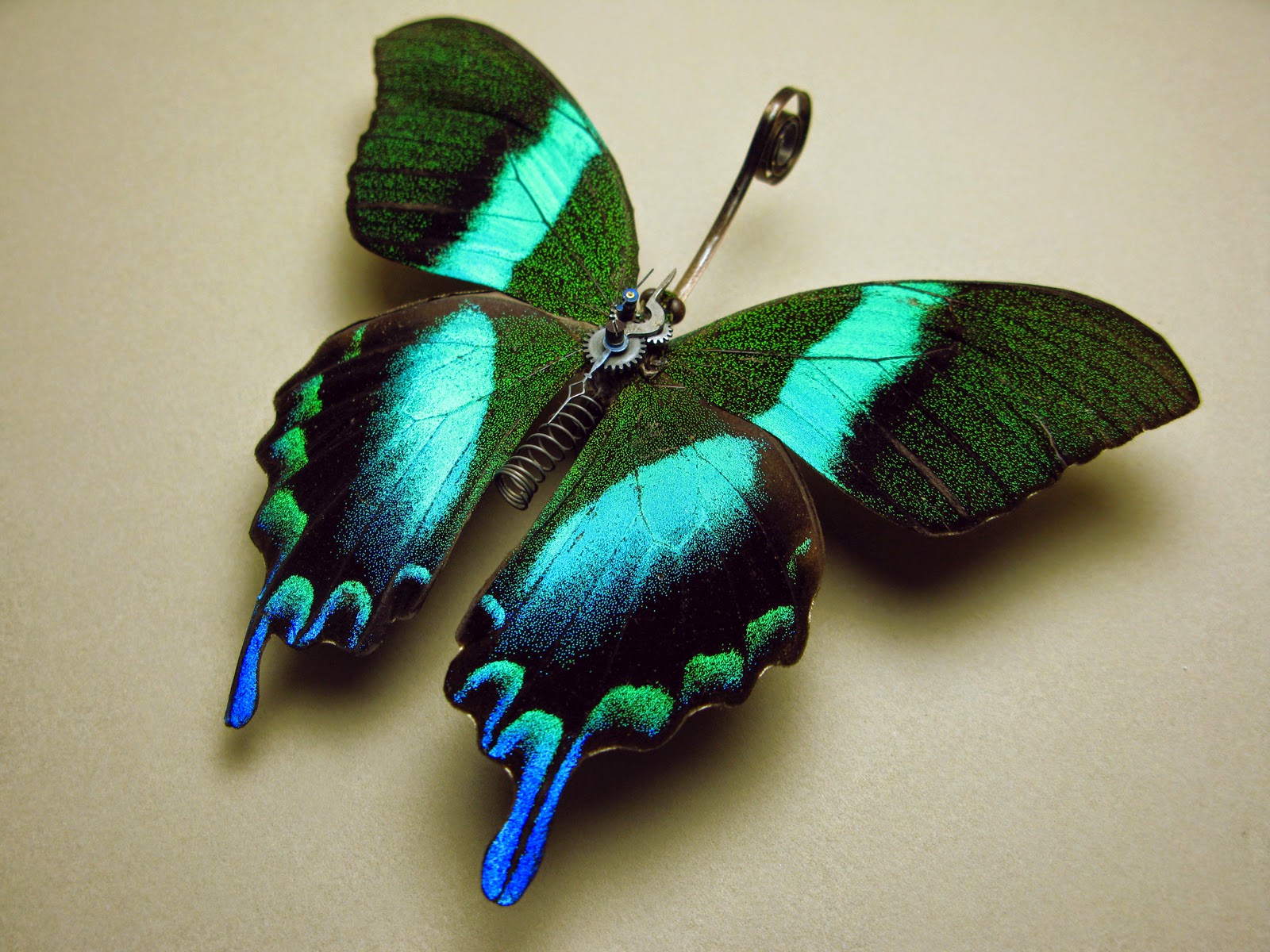 Bouillons de Cultures: Les insectes mécaniques de Mike Libby