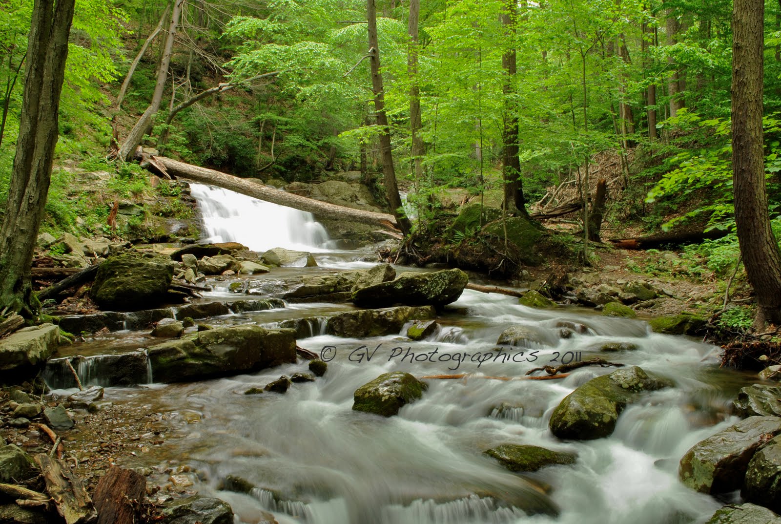 GV Photographics: Dunnfield Creek - Worthington State Forest - New Jersey