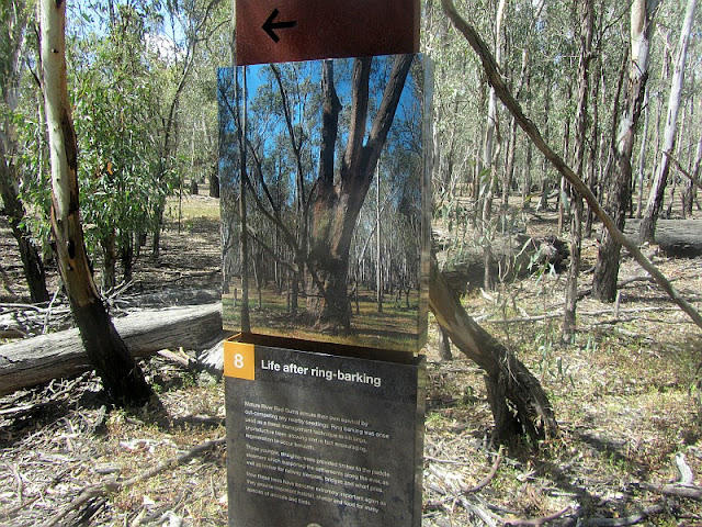 TRACKS, TRAILS AND COASTS NEAR MELBOURNE : Barmah National Park ...