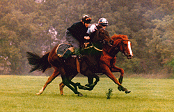 Opening Show ITV4: COUNTDOWN TO CHELTENHAM 2011 LORNA FOWLER TO RIDE ...