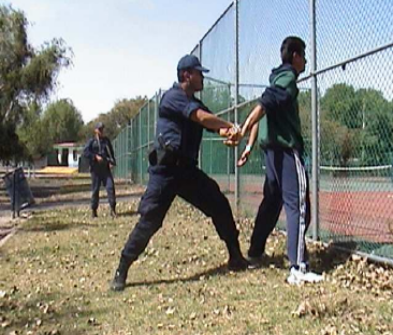 Blog Seguridad Privada HZ