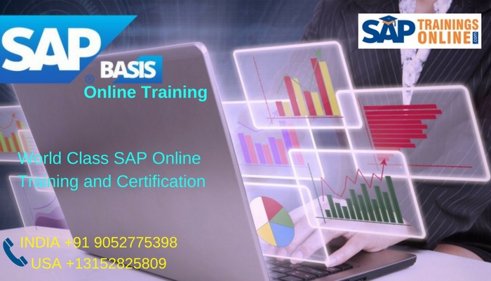 SAP BASIS Online Training: Online SAP BASIS Training | SAP BASIS Patch ...