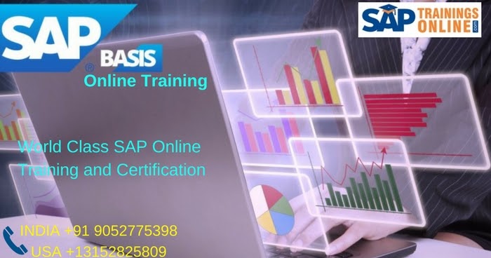 SAP BASIS Online Training: Online SAP BASIS Training | SAP BASIS Patch ...