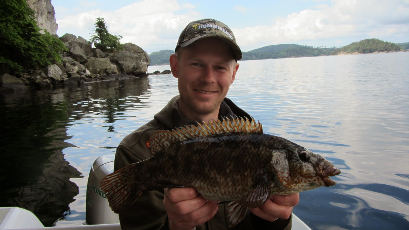 Kurres Fiskeshop: Gullmarsfjorden