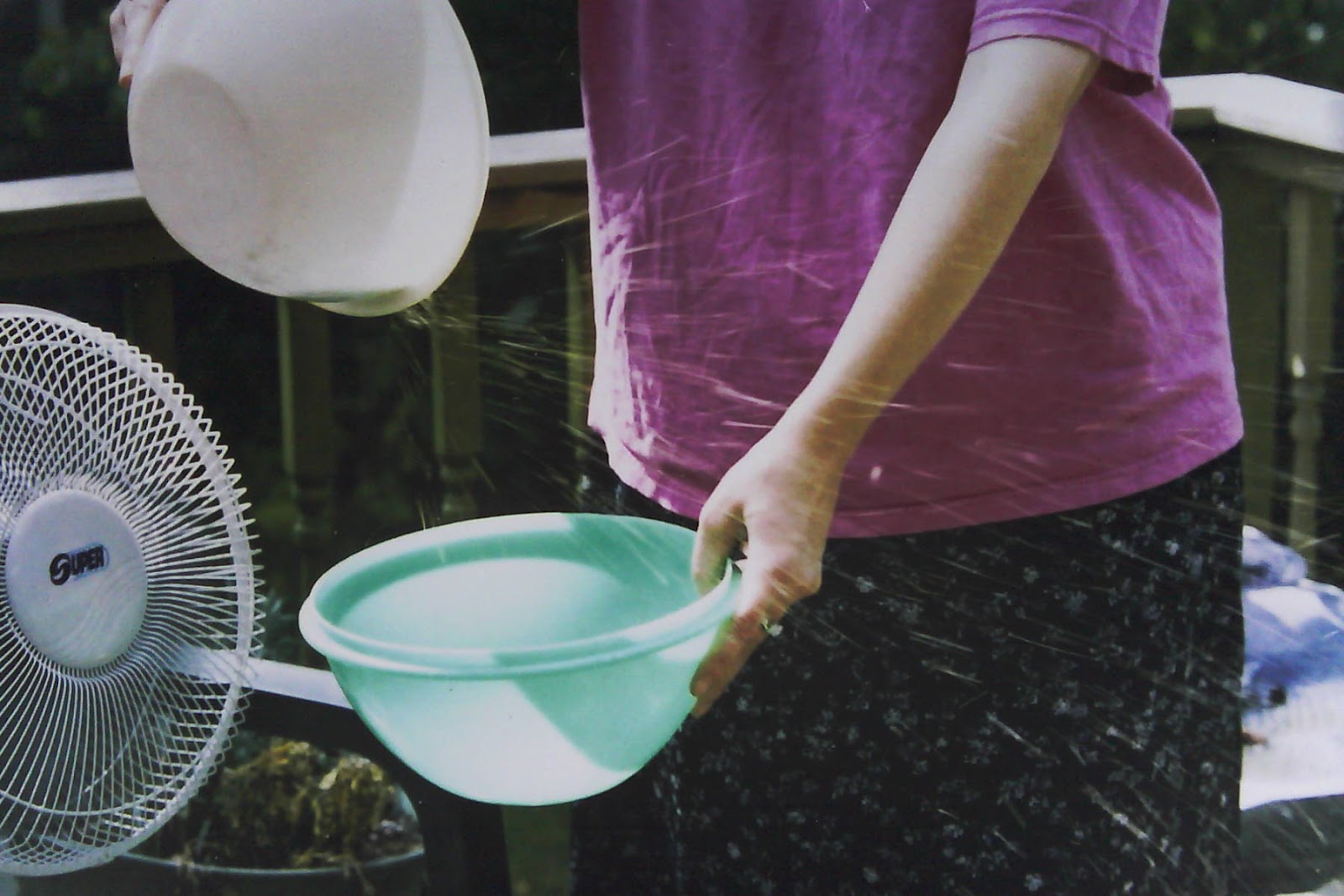 MOSTLY ABOUT FLAX: Growing and Processing Flax (with photos)