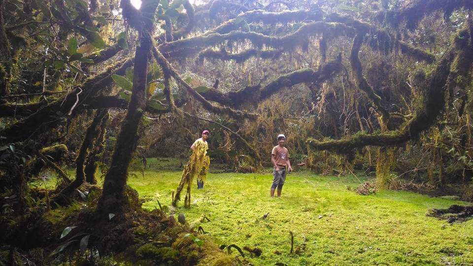 sardiaries: DIY Hike to Mt. Napulawan