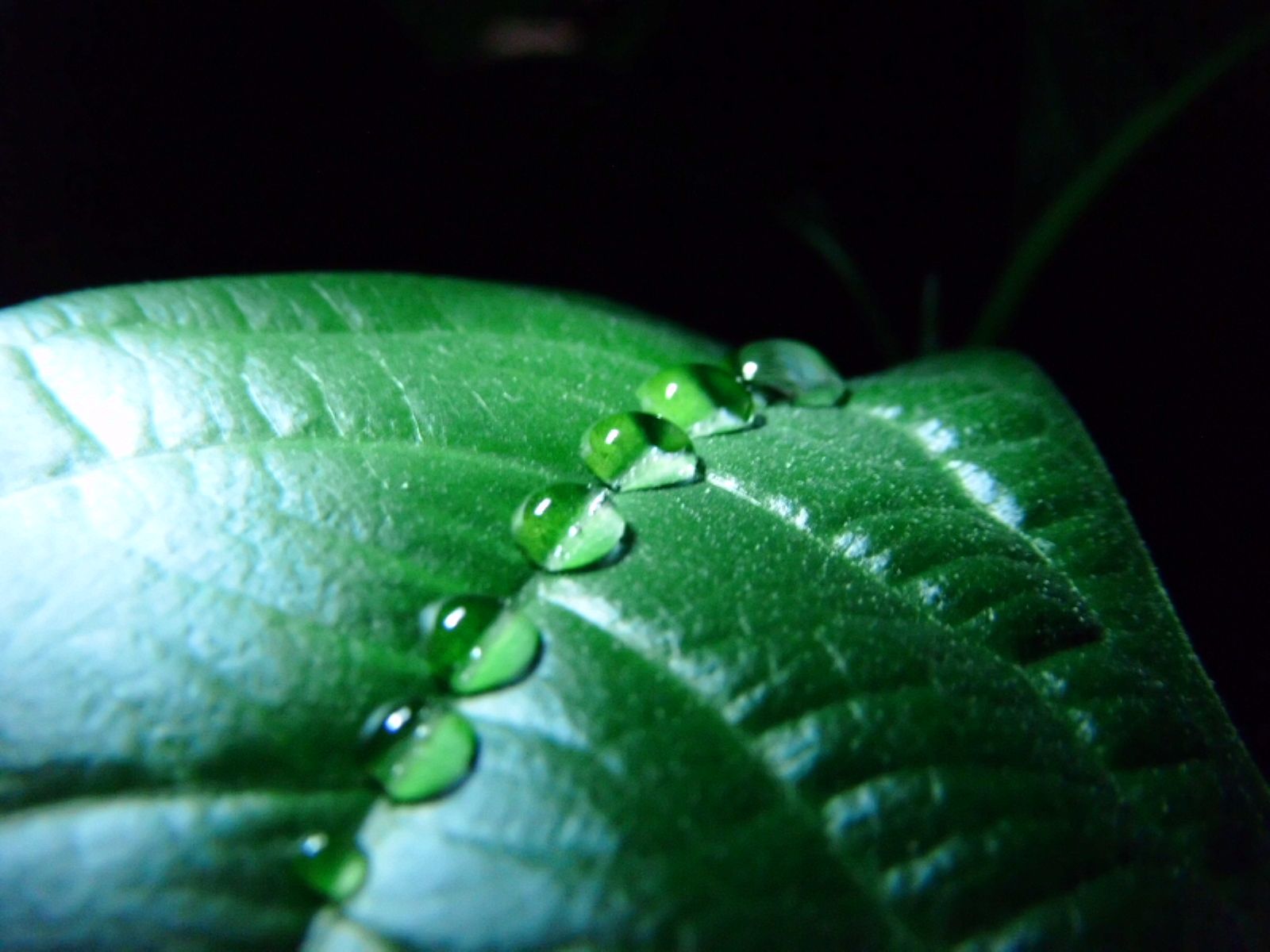 Basic Photo: Water inside and out- Christian T.