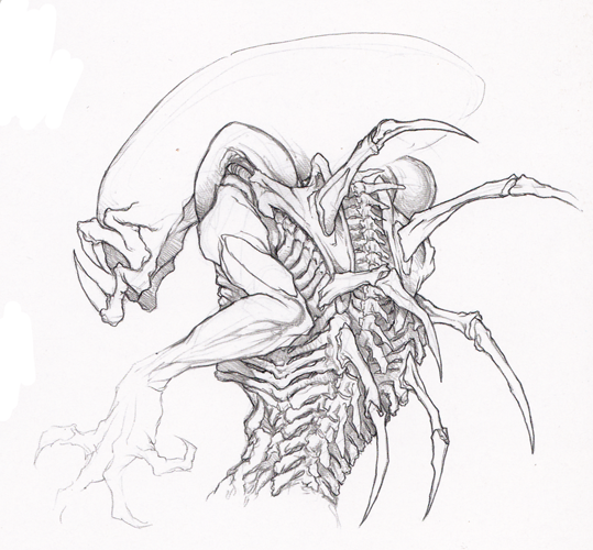 Alien Explorations: Alien vs Predator: Michael Broom's Predalien
