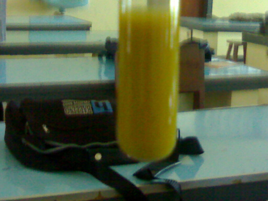 BIOLOGI GONZAGA: UJI GLUCOSA- BENEDICT