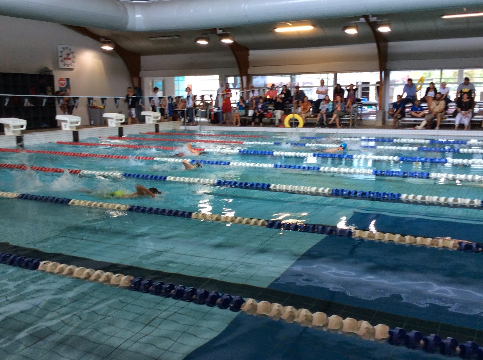 Ilam School Sports Blog: Swimming