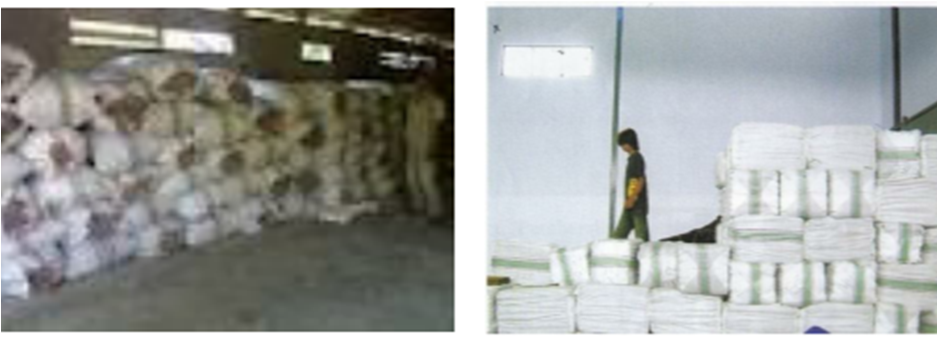 PEMANENAN RUMPUT LAUT | "BLOG TANI NELAYANKU"