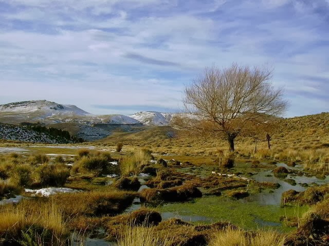 La regiòn Patagonica: Prolemas ambientales en la ESTEPA Patagonica