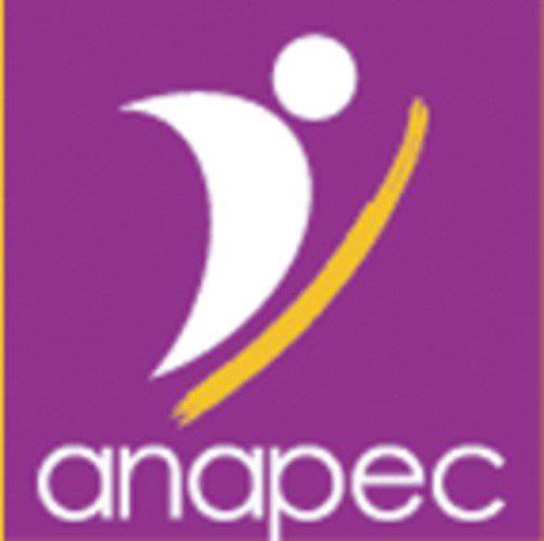 newtec: Rapport de stage: ANAPEC