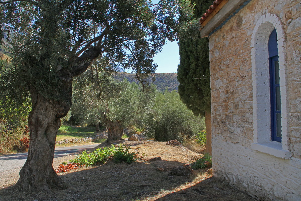 del MEDITERRÁNEO: GREECE. ELLADA, FOKIDA reg. DELPHI, ITEA, GALAXIDI ...