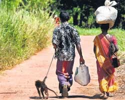 M A N T H A L A W A: මඟුල් කරඳ සහ අහිකුන්ඨිකයෝ | Magul Karanda & Sri ...