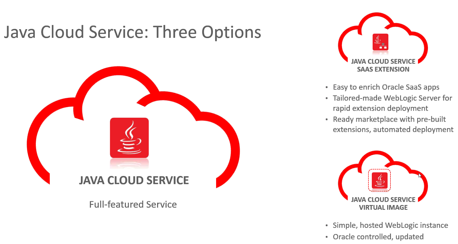 Oracle Applications Custom Development: Application Custom Development which cloud service to use?