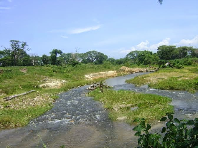 Lenin Cardozo - Entrevistas / Artículos / Videos: Comenzamos ...