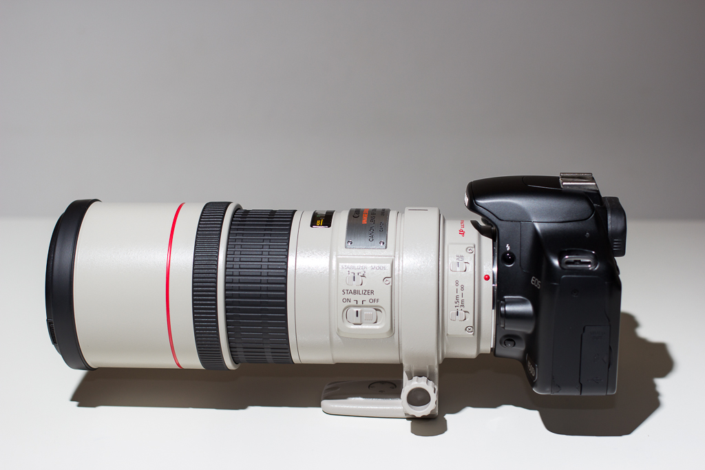 ♥ Patatitphoto: Test matériel : objectif 300 mm f4 L IS USM de Canon