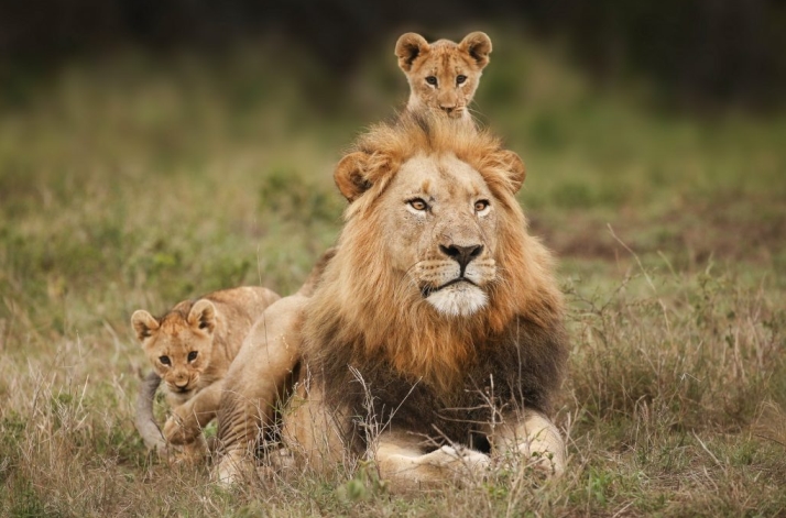 “They played for quite a while then started to relax.”