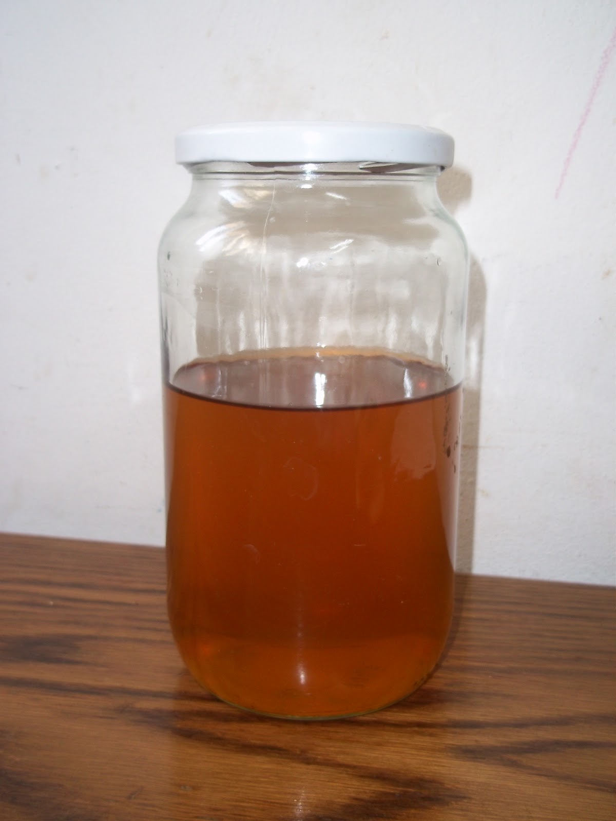 Grow Your Own Kombucha Mushroom Mother Tutorial- Make Your Own SCOBY ...