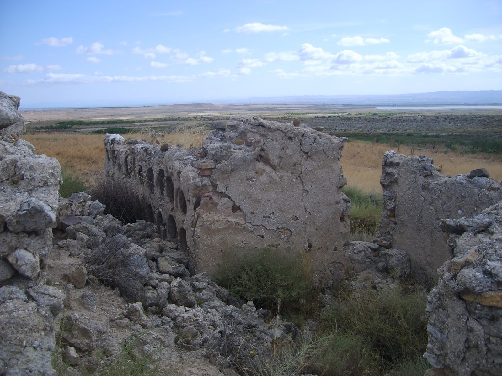 Centro de Estudios Borjanos: El abejar de la pesquera en Magallón
