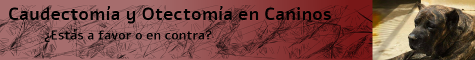 Caudectomía y otectomía en caninos