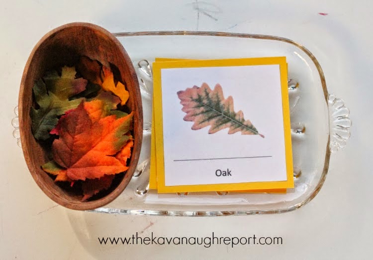Free Montessori Inspired Fall Printables | The Kavanaugh Report