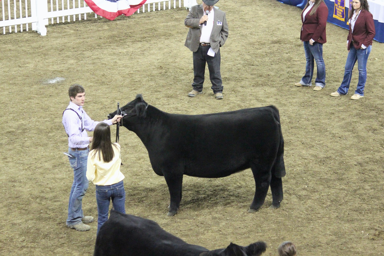 Executive Sires, Inc.: 2012 NAILE Jr. Show - Grand Champion AOB Heifers ...