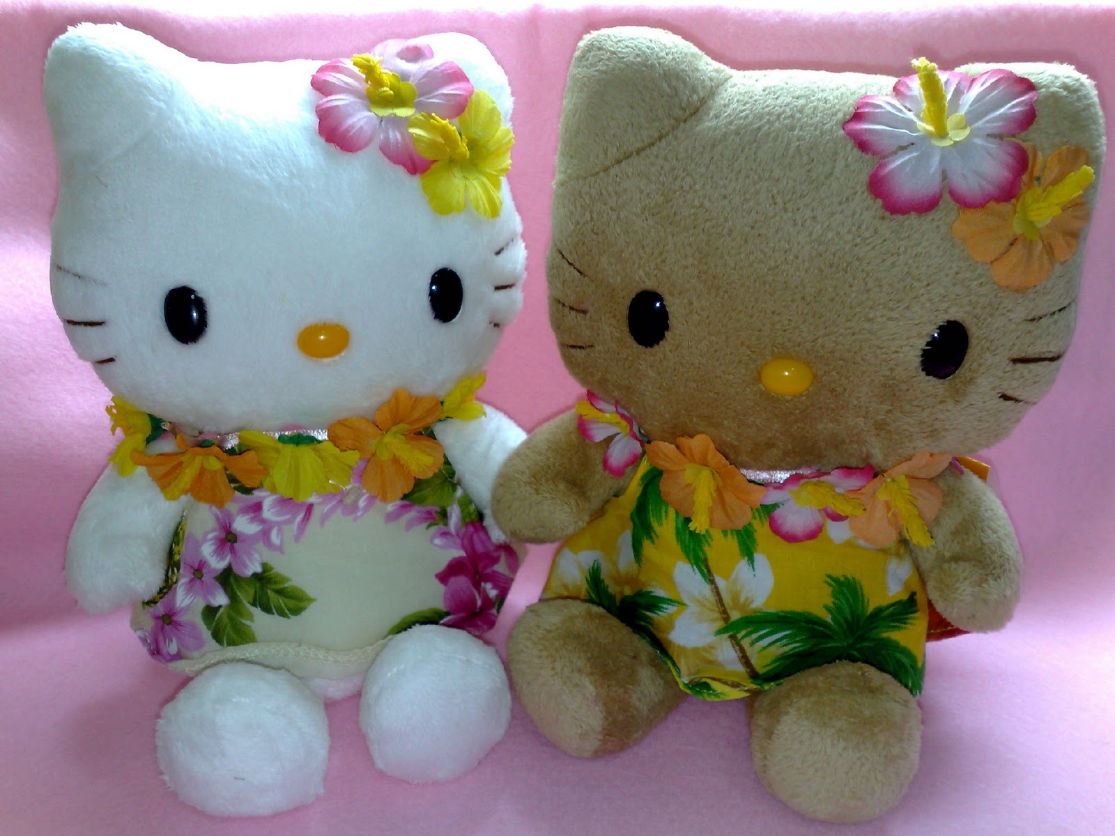 Hello Kitty Karma: The Hawaii Suntan kitty story