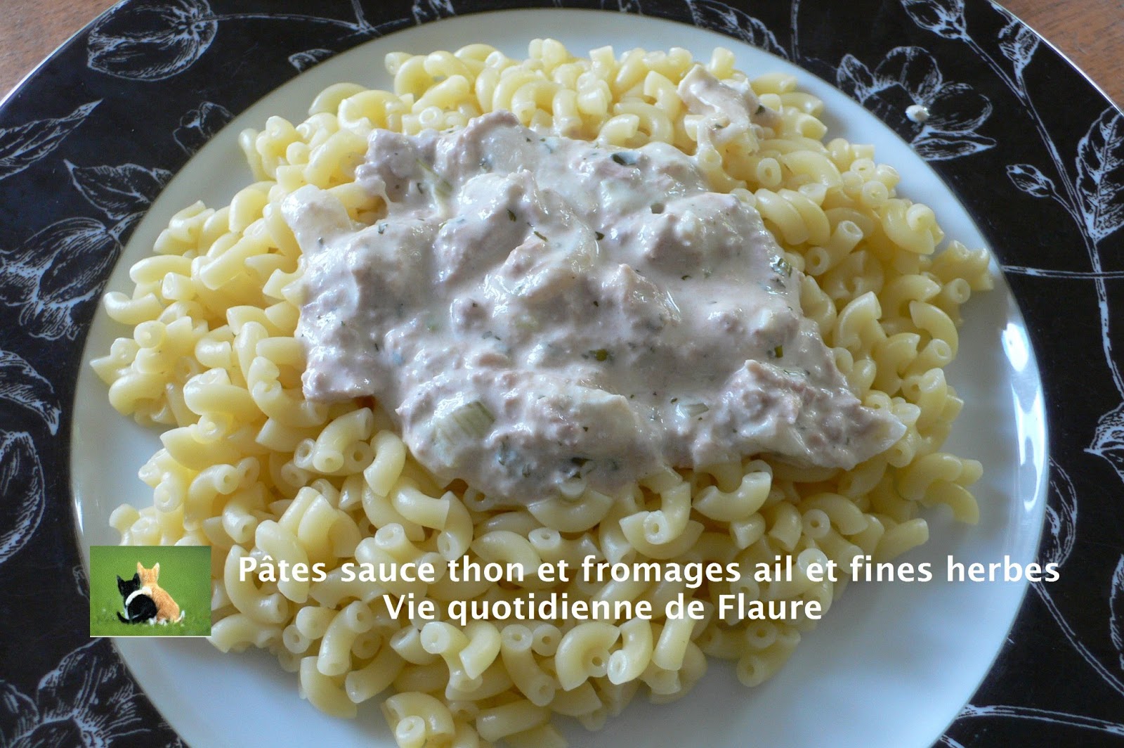 Pâtes sauce thon et fromage ail et fines herbes