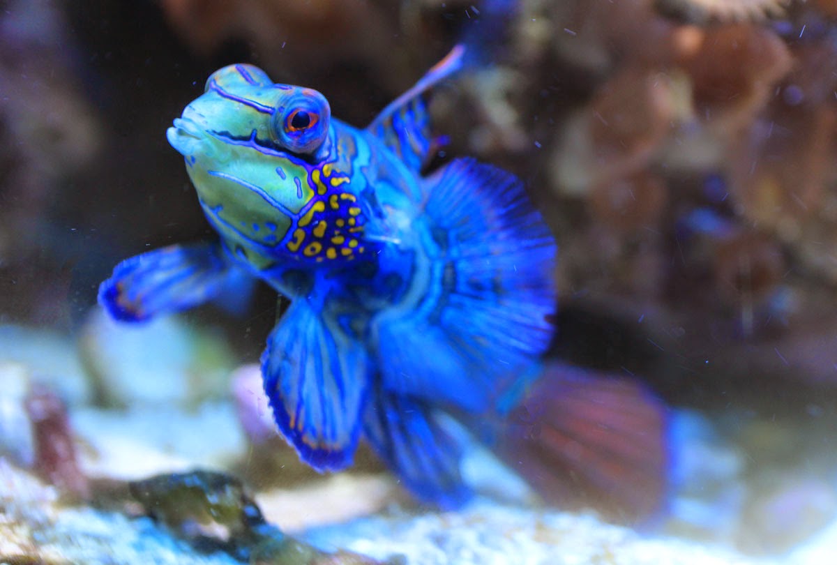 Exhibit Galleries Blog