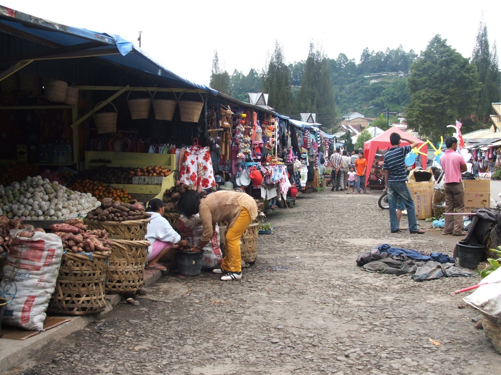 Petualangan Veri: Petualangan Veri ke Brastagi Sumatra Utara