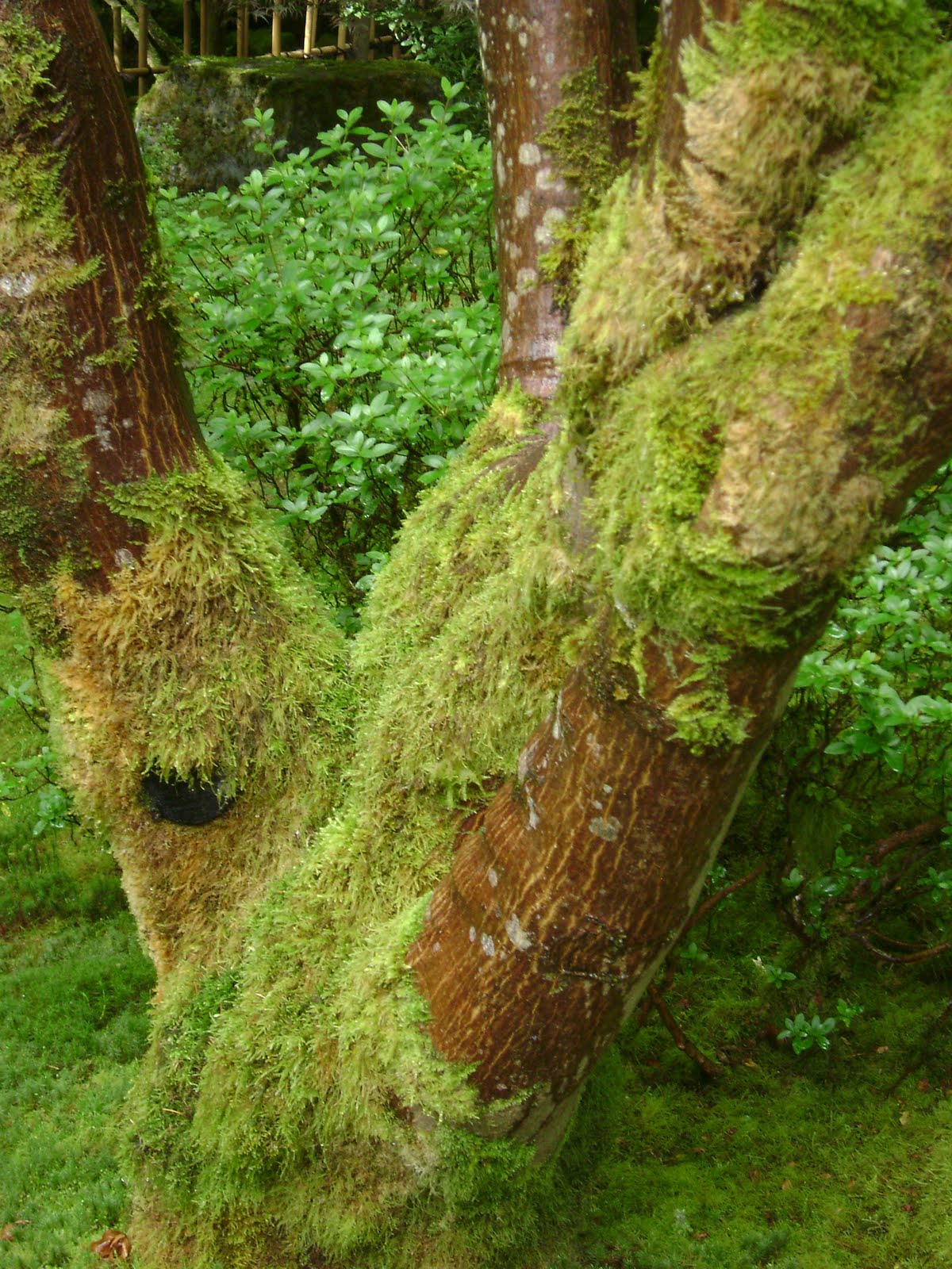 Prairie Rose's Garden: Adieu, Portland!