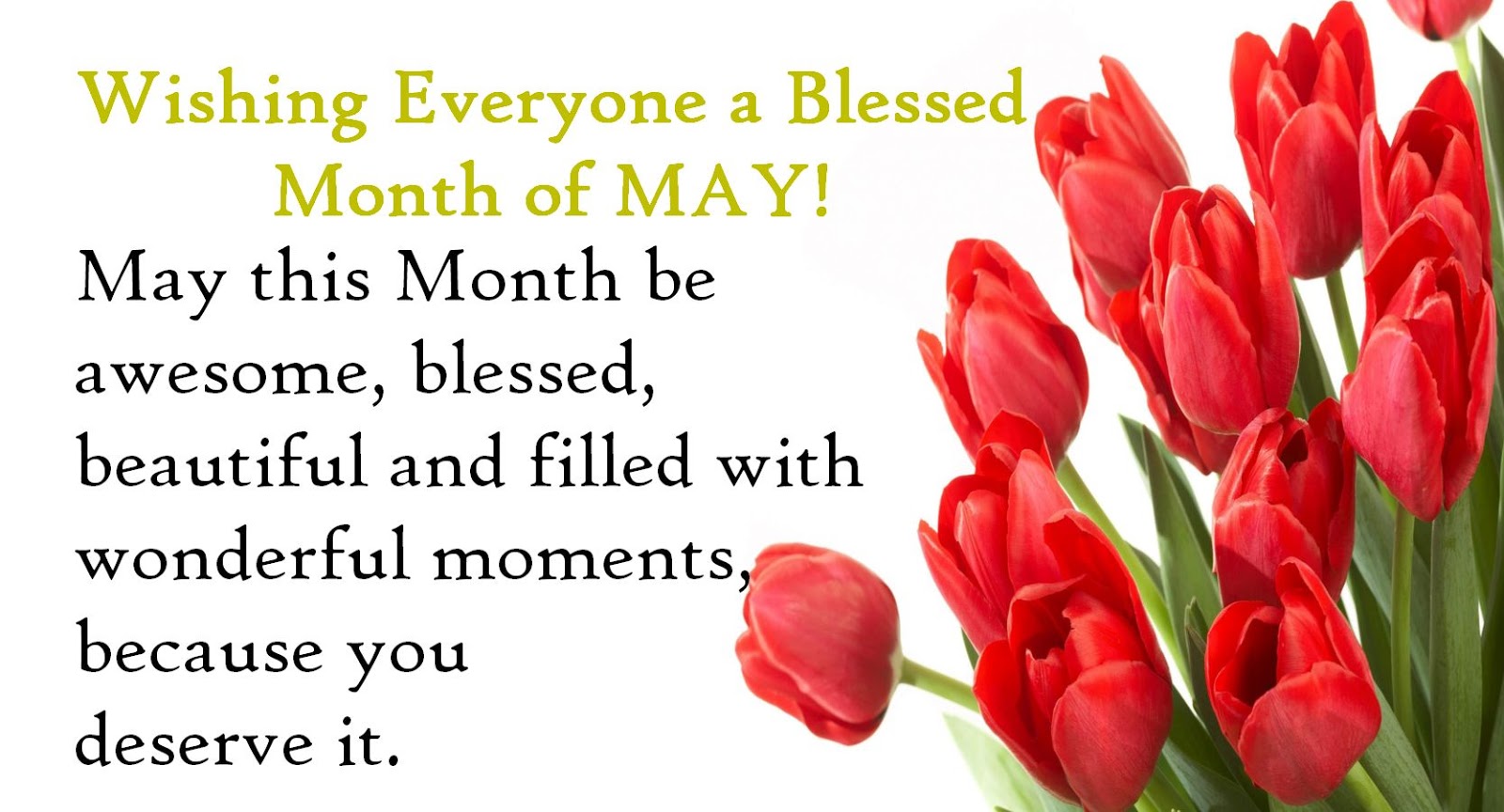 Hello MAY!