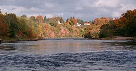 Stanley Beats River Tay : Benchil Beat River Tay