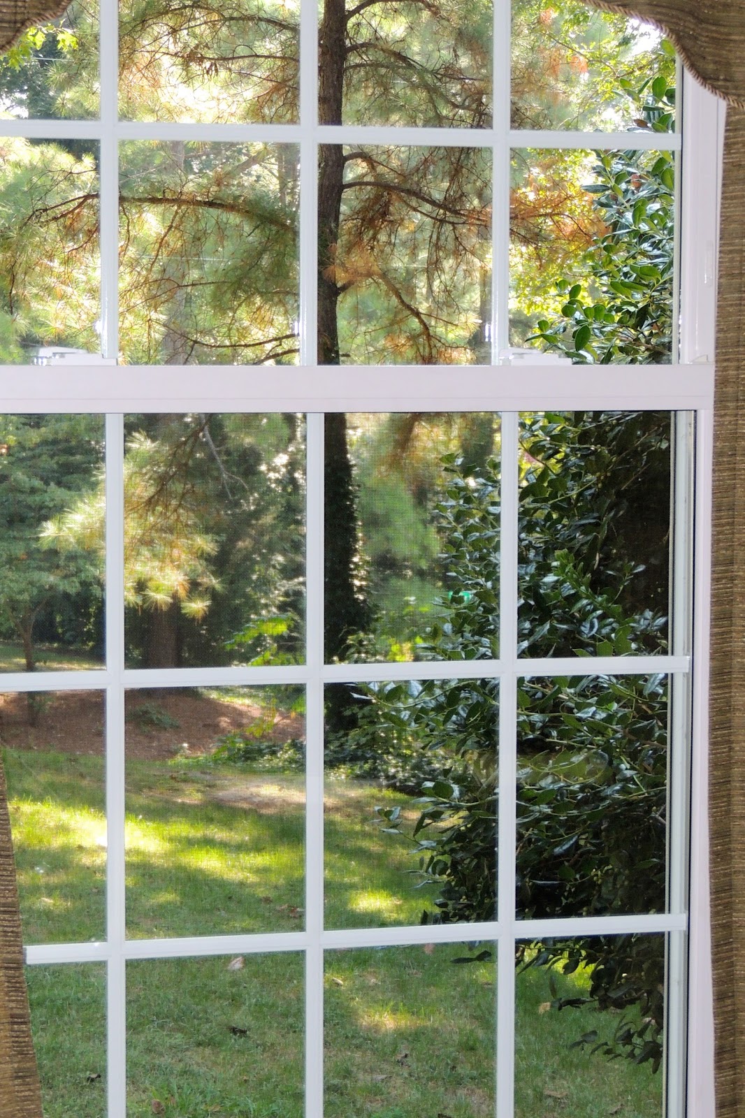 Finding Joy in an Ordinary World: Inside This House