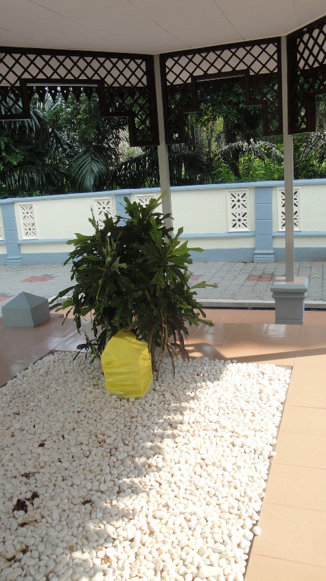 SENI LAMA MELAYU (MALAY OLDEN ART): Rupa terbaru makam Tok Temong ...