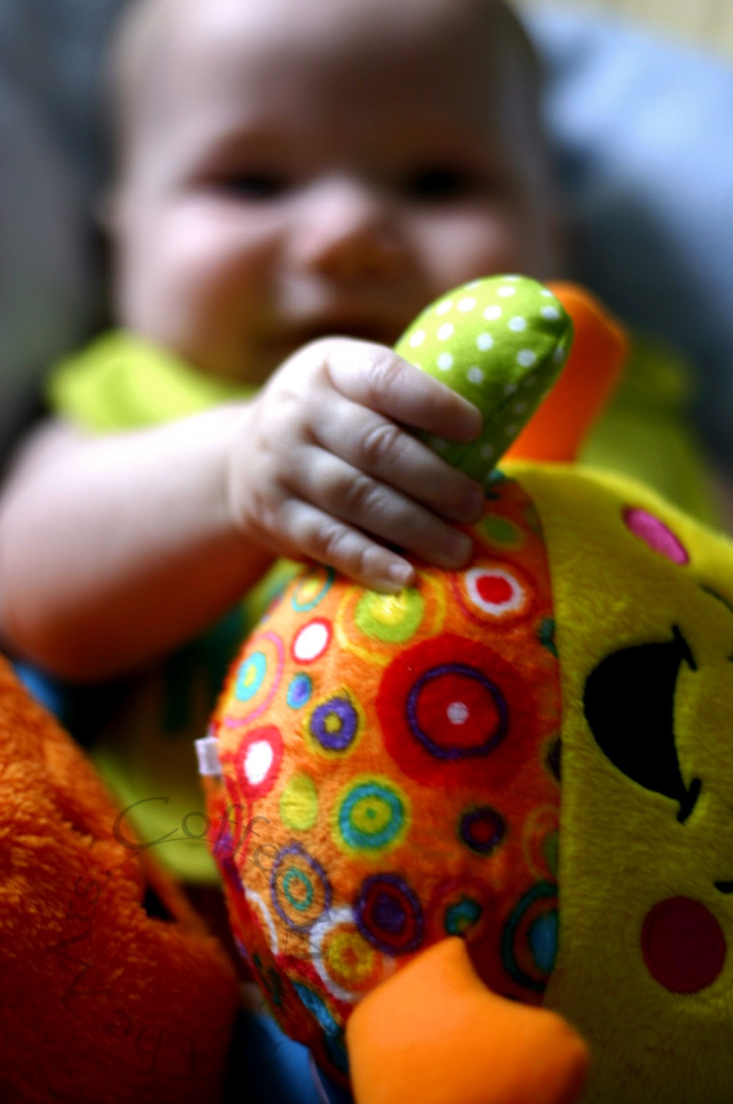 Meet The Fisher Price Giggle Gang {review} | Amy Clary