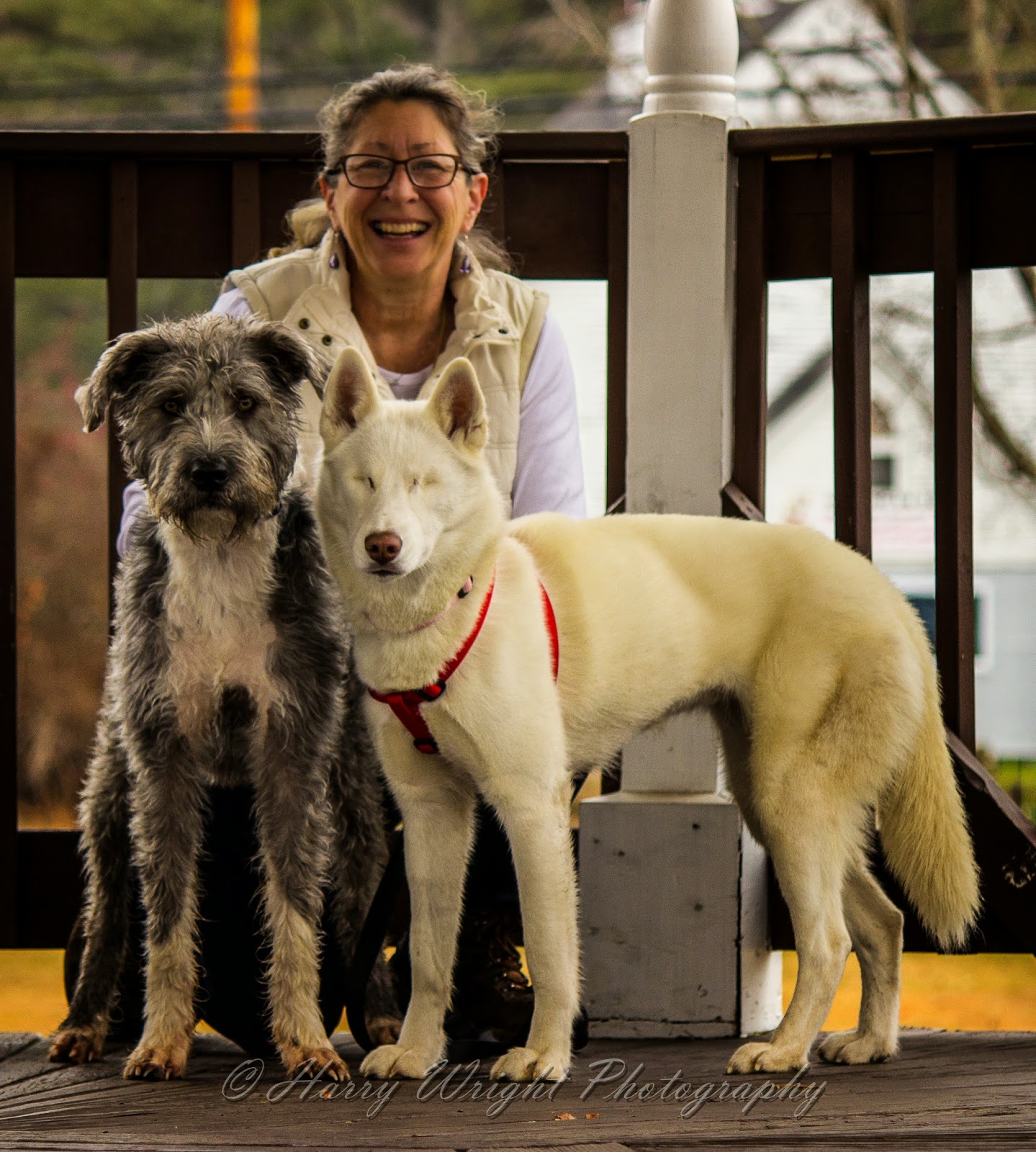 The Adventures of Tala and Henry