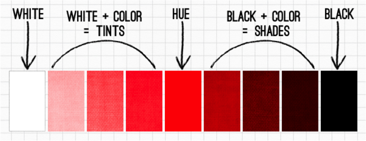 Bekah Steele: Monochromatic Landscapes