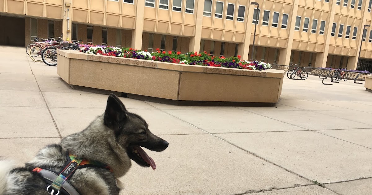 RA HUSKY: Sunday On Campus