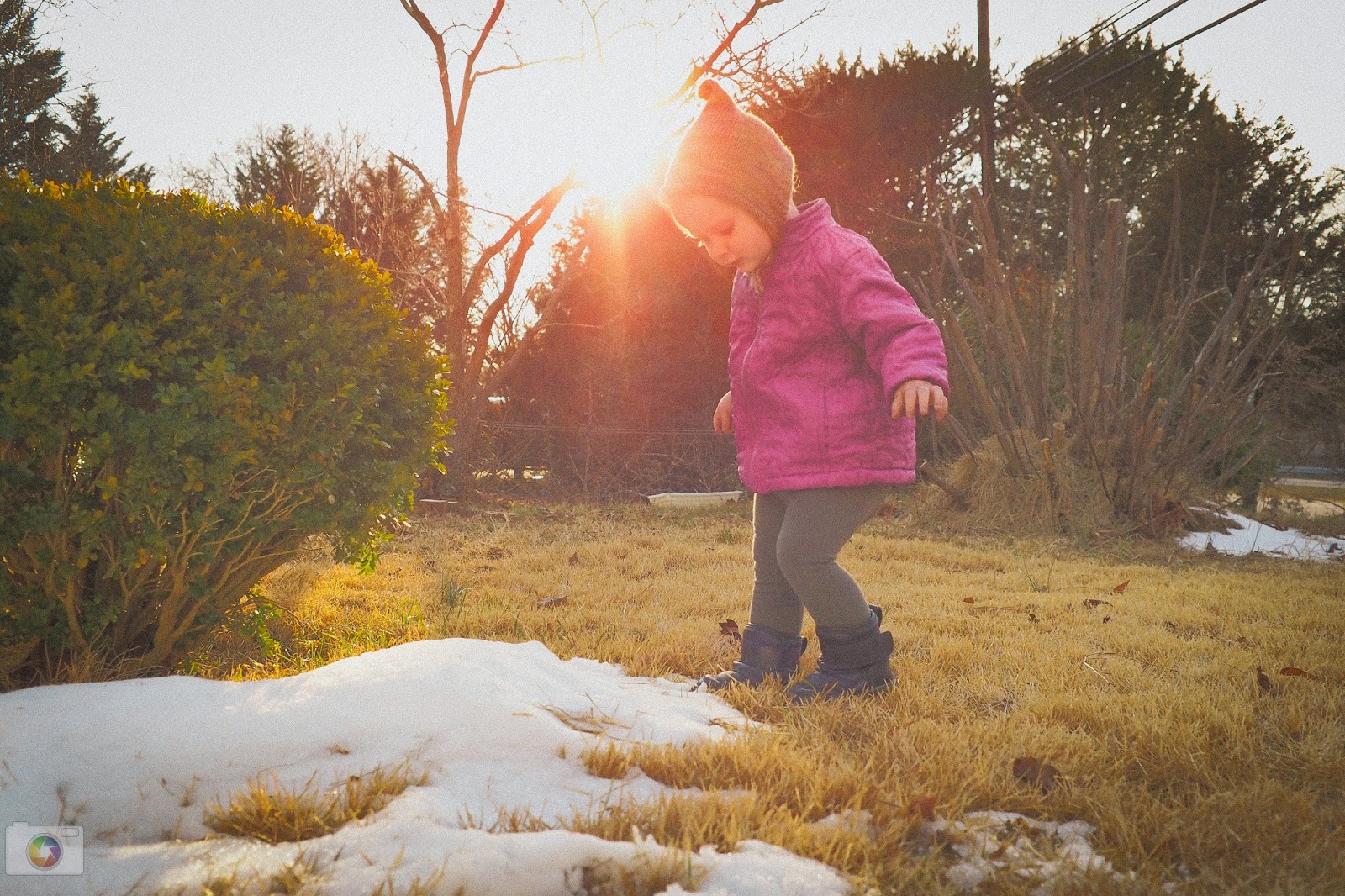 Focus on the Stories: First Signs of Spring